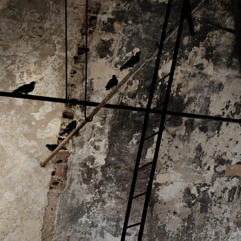 UMANE TRACCE - Exibart.service